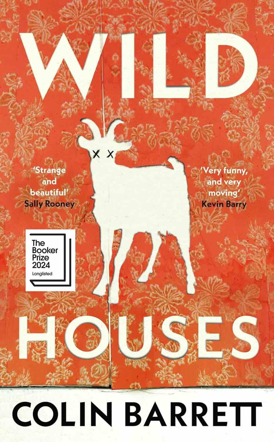 Wild Houses by Colin Barrett - The Booker Prize 2024 Longlist