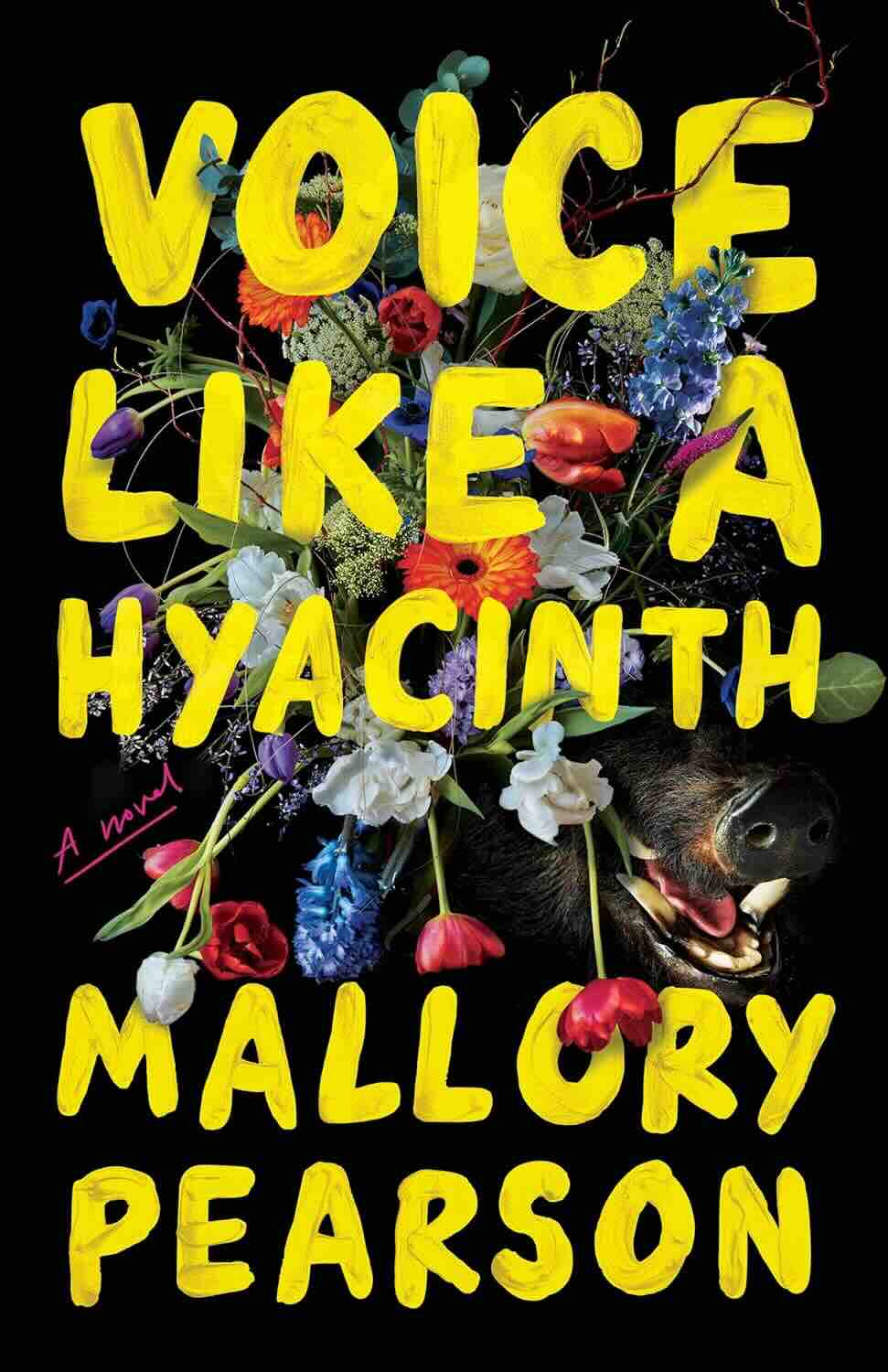 Voice Like a Hyacinth by Mallory Pearson - Book Review